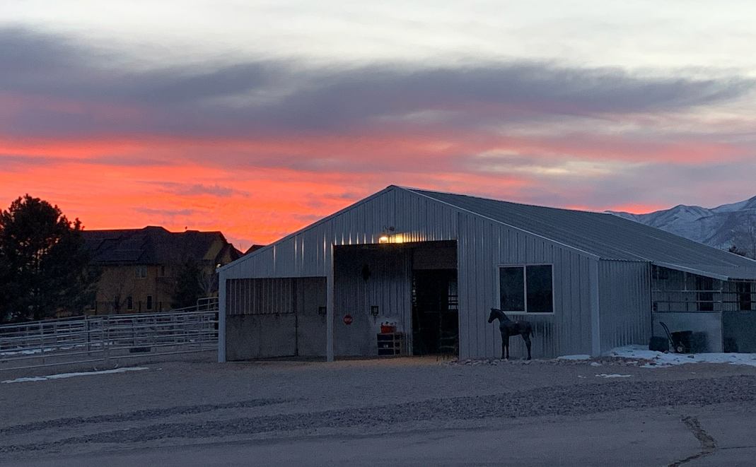 Custom Barn Business For Sale - Biznis Resource