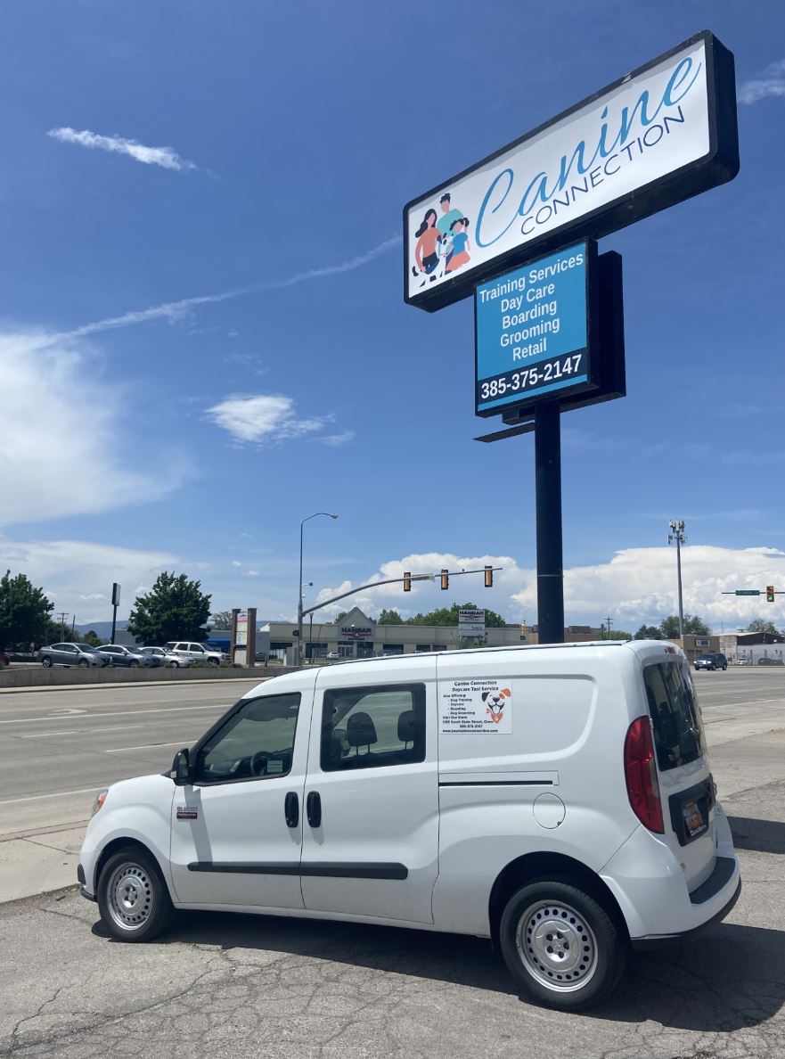 Canine Boarding, Training and Grooming Business for Sale - Biznis Resource