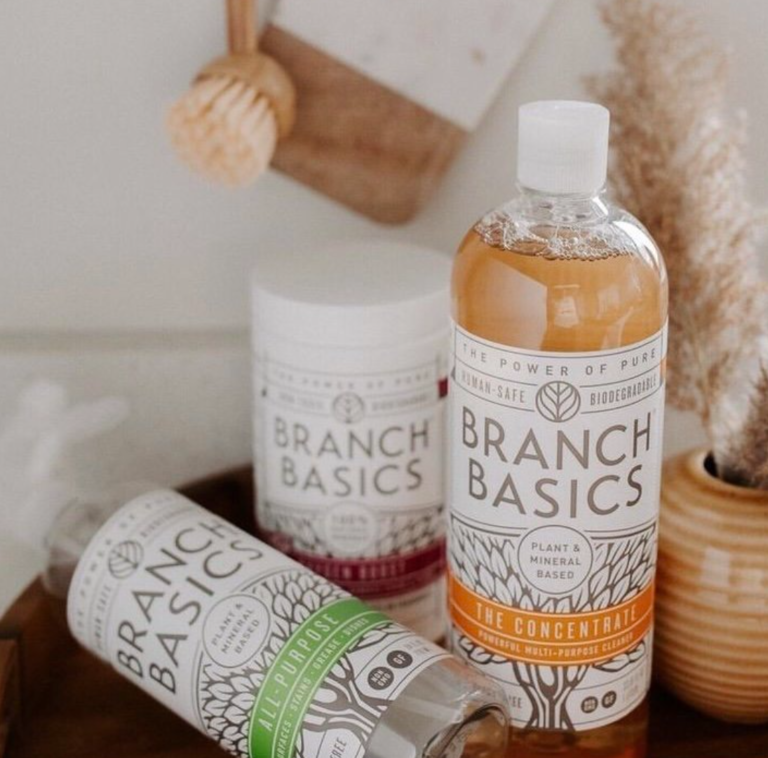 All-Natural House Cleaning Business for Sale - Biznis Resource