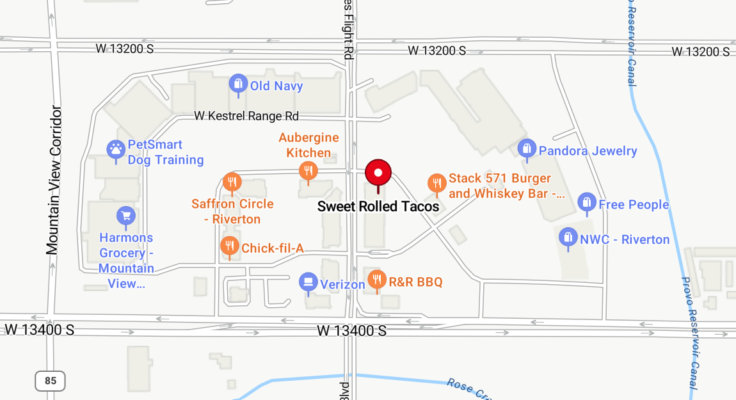 Novelty Ice Cream Franchise for Sale - Biznis Resource